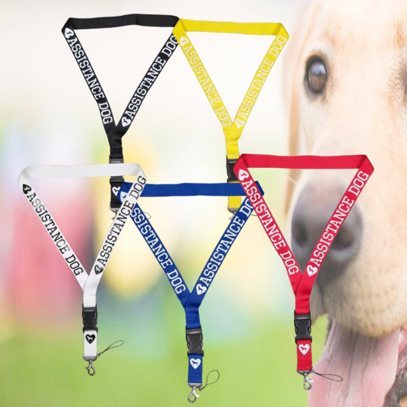 Assistance dog in training law card - NS DESIGN